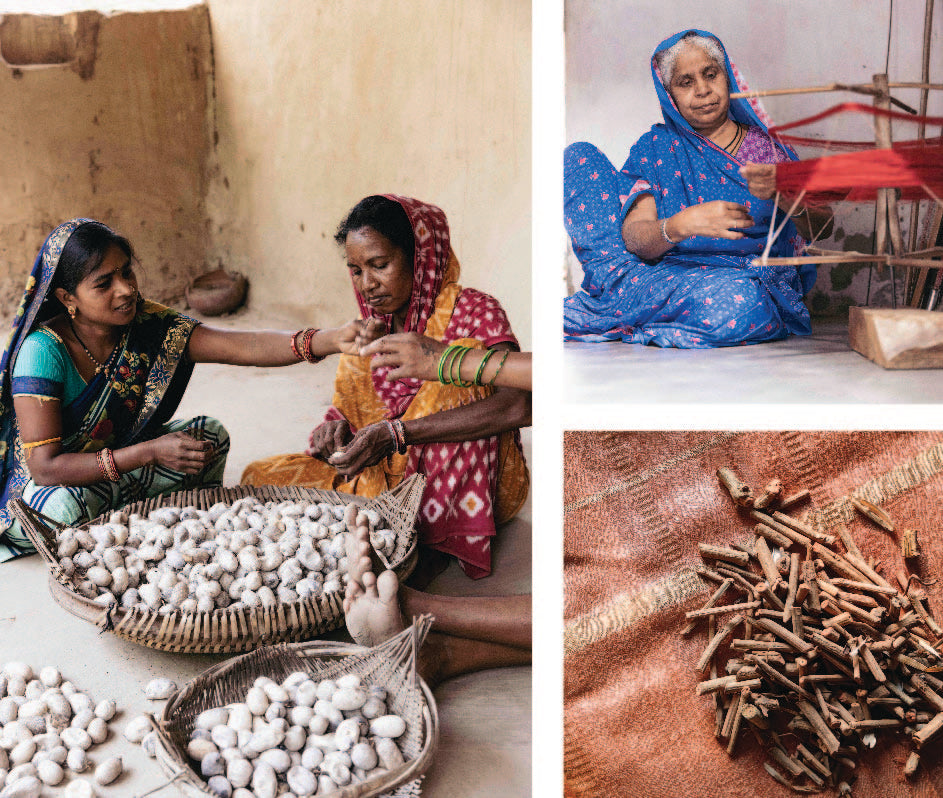 Our Story – Kosala